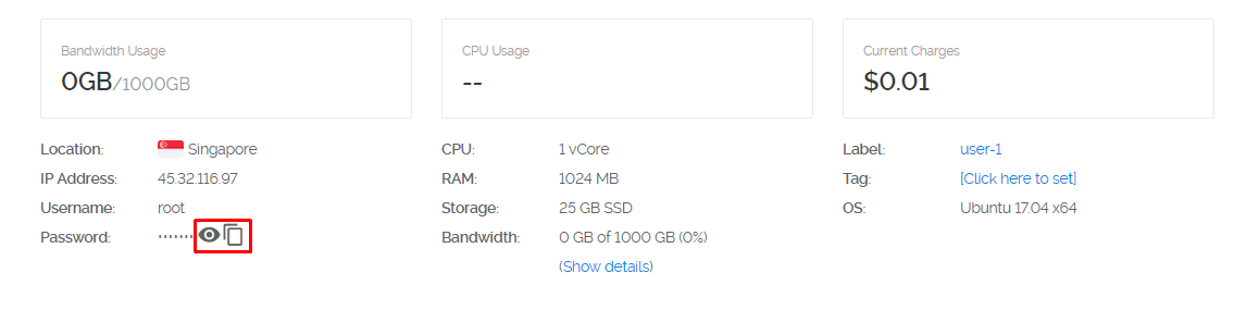 Create new Virtual Server from Vultr - SetupServer.io