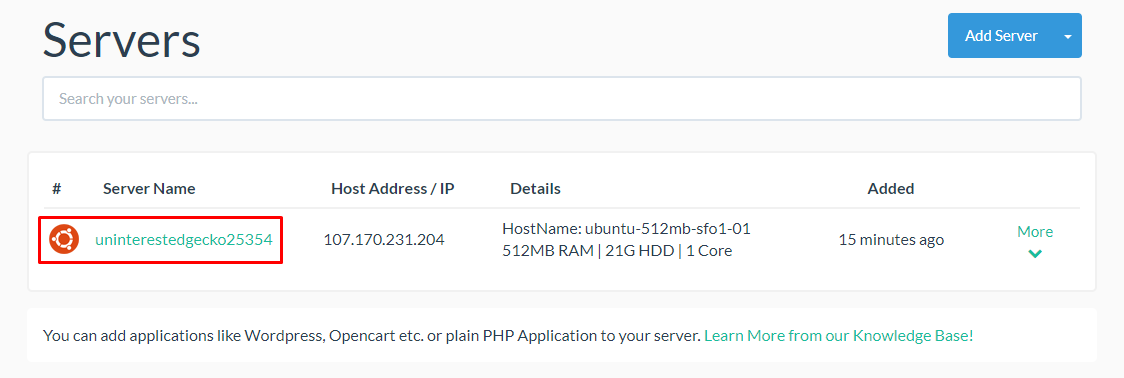 View App Logs - SetupServer.io